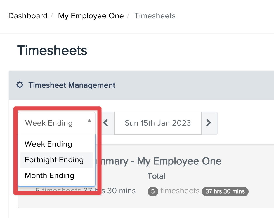 Editing Your Timesheet – Home Page