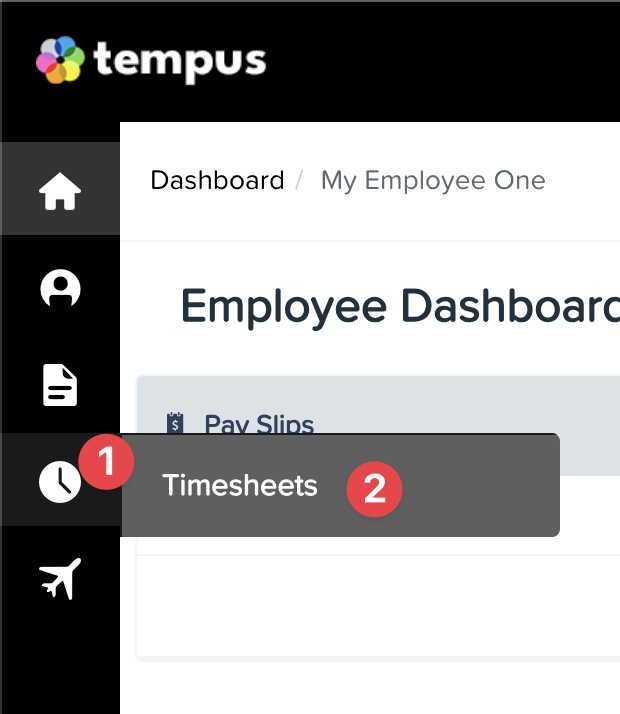 Editing Your Timesheet – Home Page