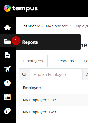 Timesheets Report – Home Page
