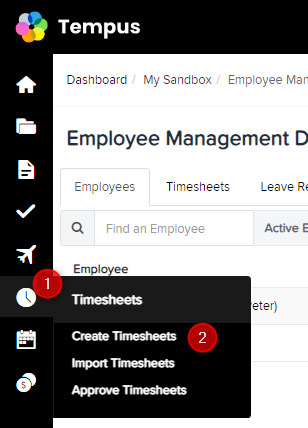 Managing Leave Requests in the Timesheet – Home Page